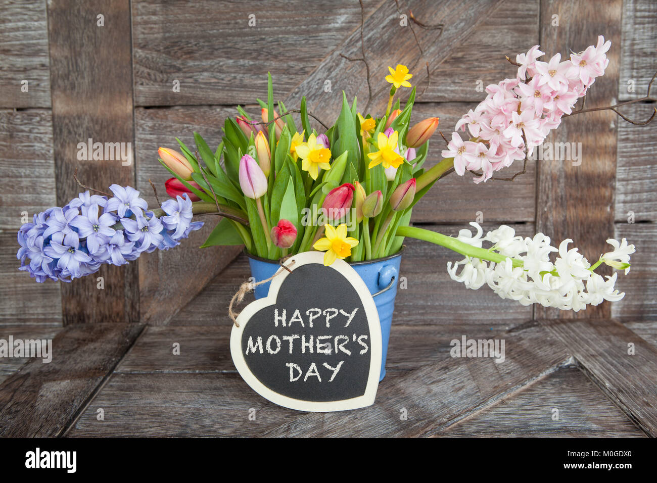 Colorful spring flowers in vintage blue bucket Stock Photo - Alamy
