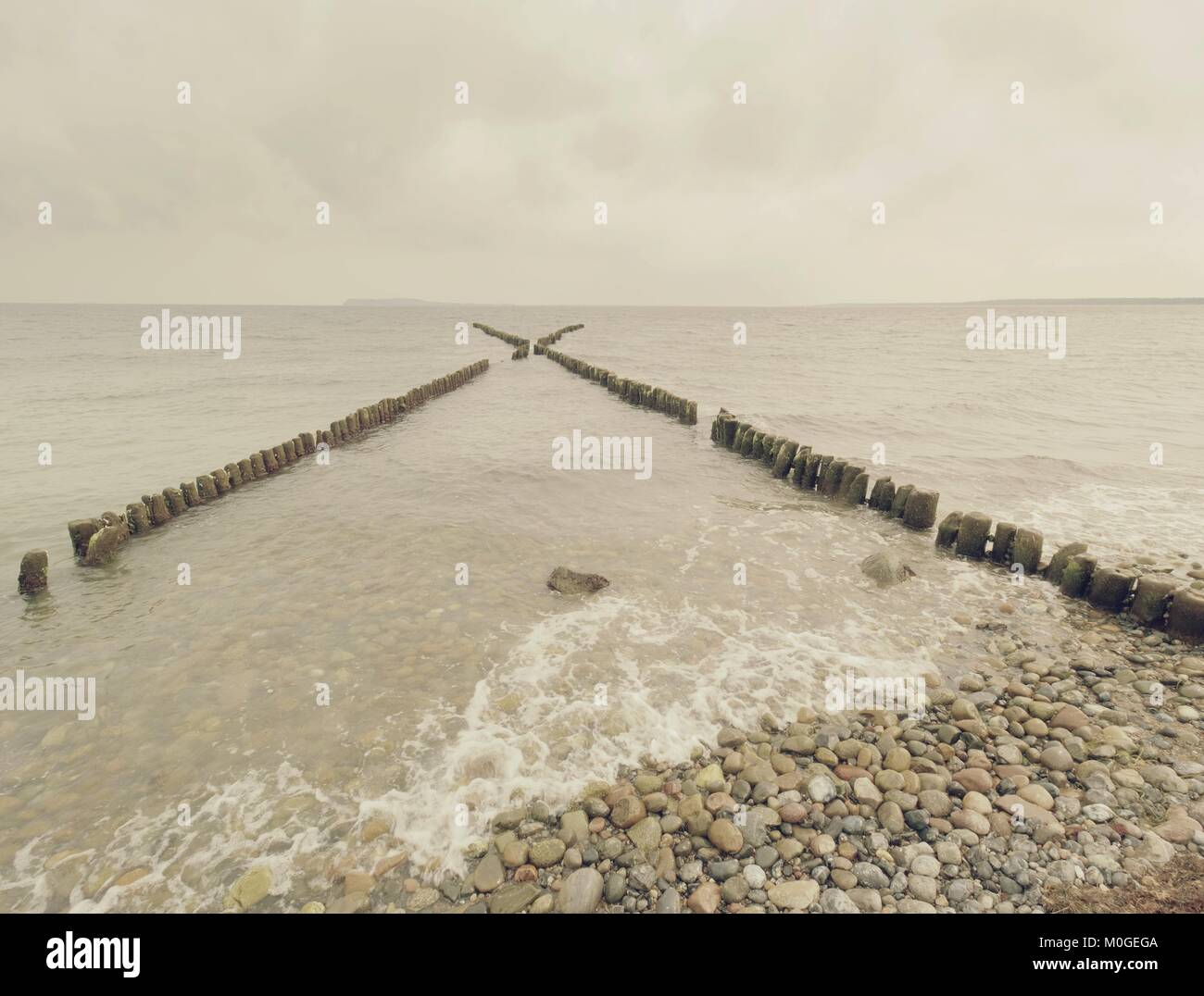 The row of old wooden piles as breakwater in front of the stony beach ...