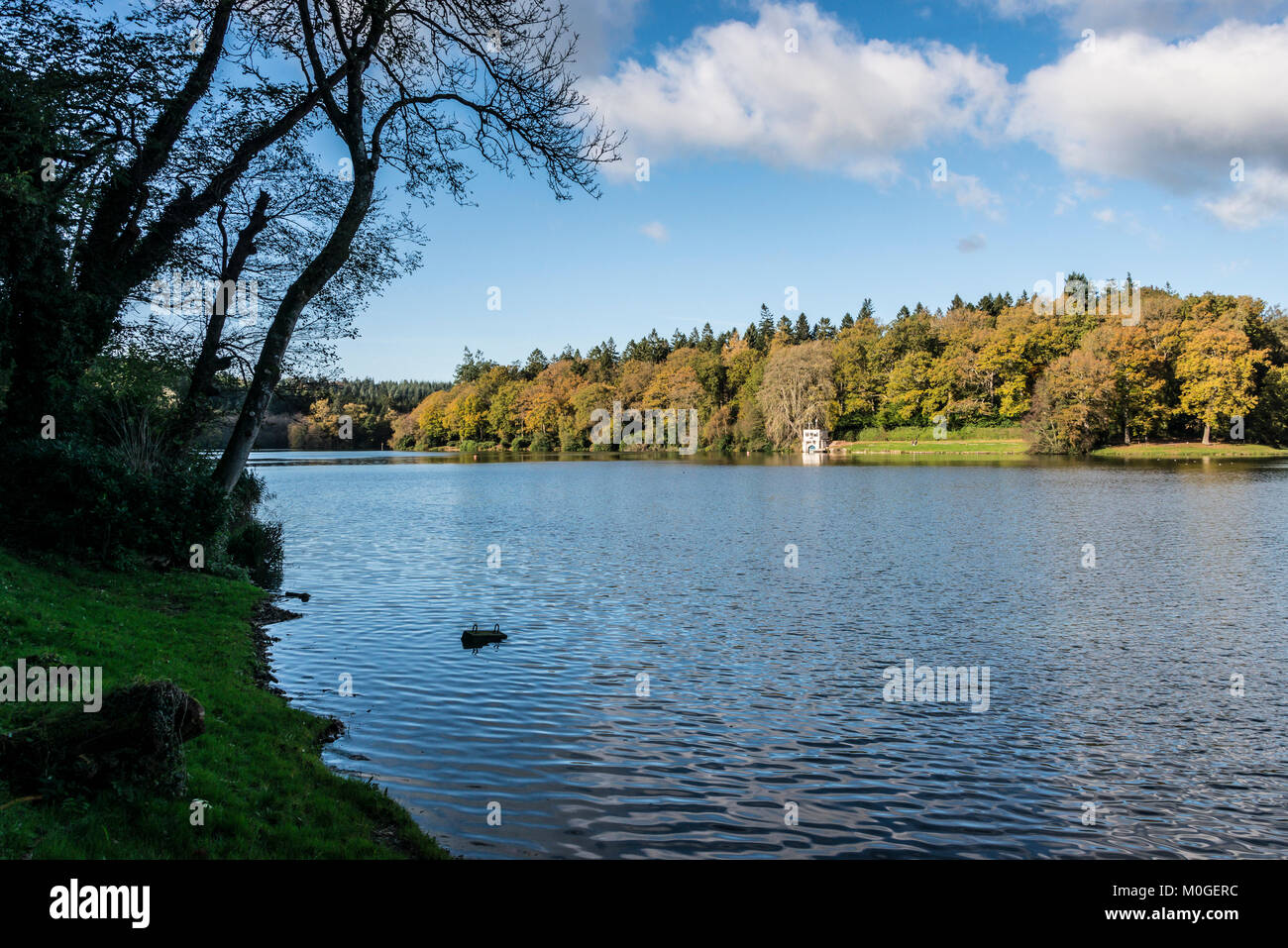 Shearwater lake in Wiltshire during autumn Stock Photo - Alamy