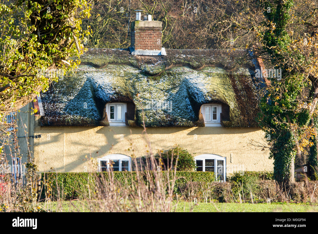 Thatched country cottage Stock Photo - Alamy