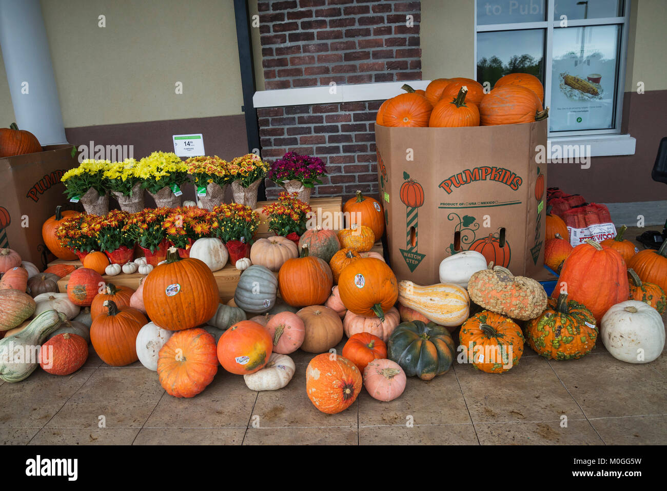 North american fall tradition hi-res stock photography and images - Alamy