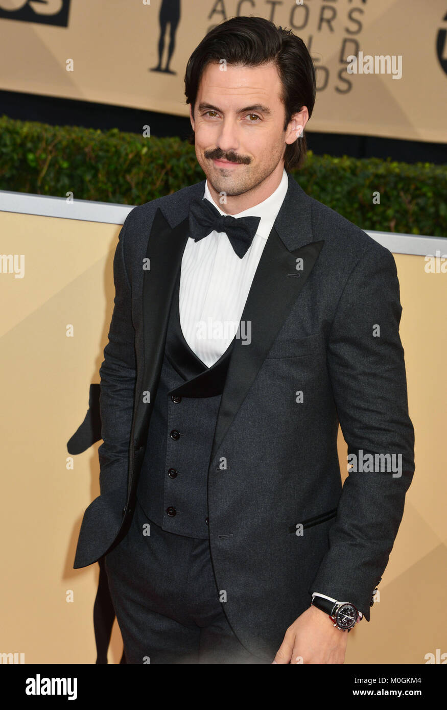 Los Angeles, USA. 21st Jan, 2018. Milo Ventimiglia 019 attends the 24th ...