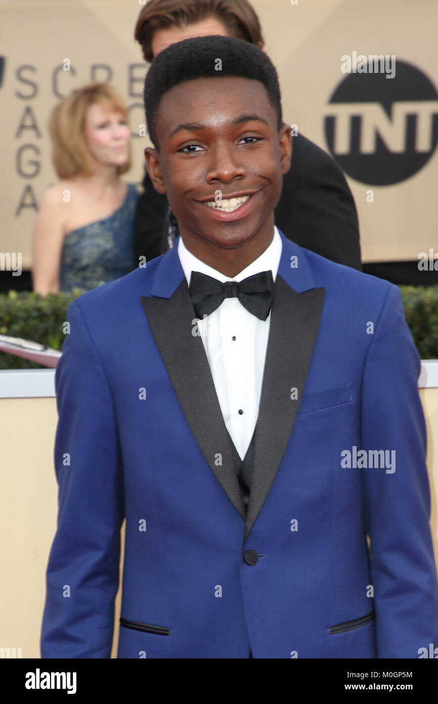 Los Angeles, Ca, USA. 21st Jan, 2018. Niles Fitch at The 24th Annual ...