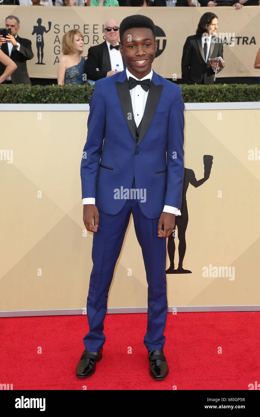 Los Angeles, Ca, USA. 21st Jan, 2018. Niles Fitch at The 24th Annual ...