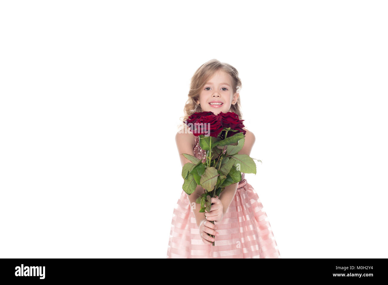 smiling child in dress holding bouquet of red roses, isolated on white ...