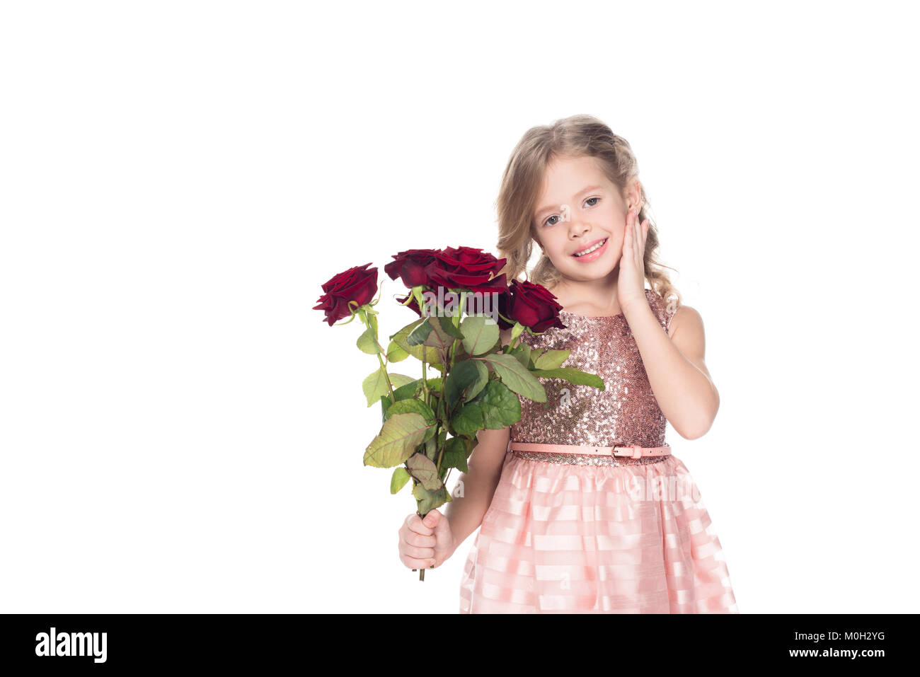 adorable kid in dress holding bouquet of red roses, isolated on white ...