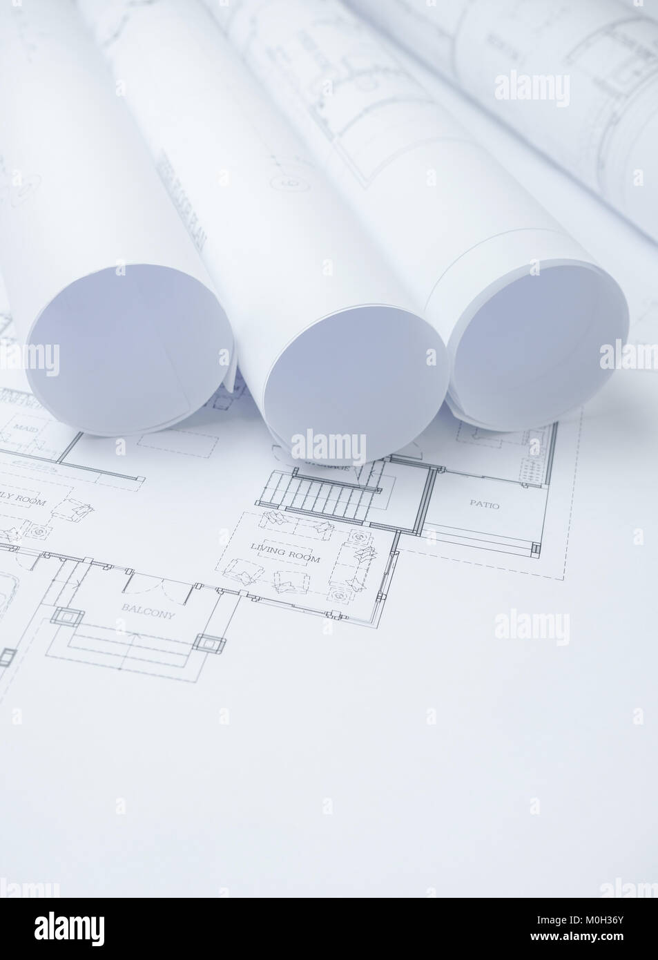 architectural drawing paper rolls of a dwelling for construction Stock ...