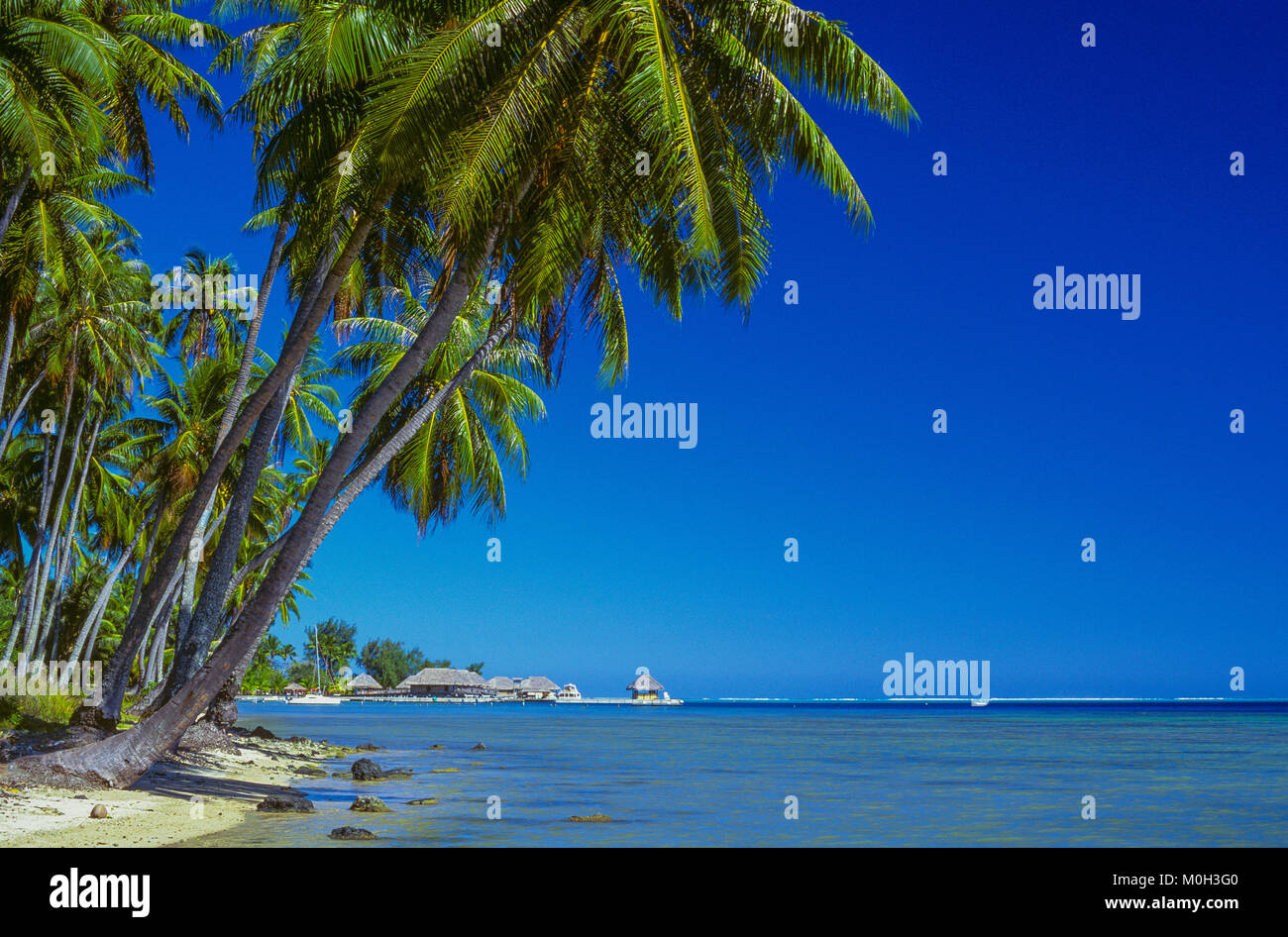 Bora Bora is in the Leeward group of islands in French Polynesia, 230km ...