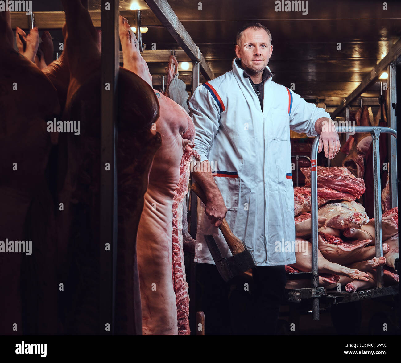 Poultry slaughterhouse food processing hi-res stock photography and ...