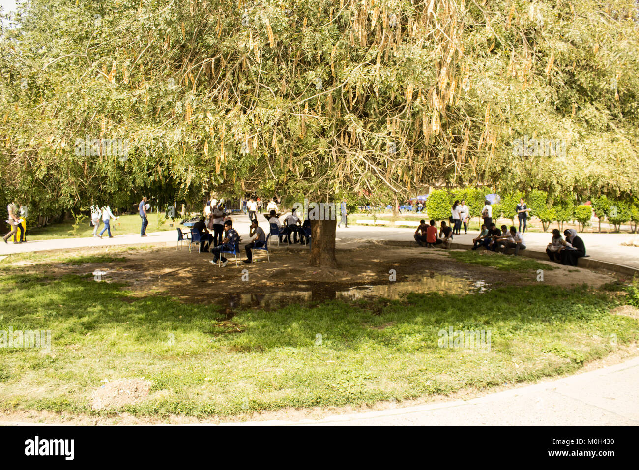 the oldest university in Baghdad the capital of Iraq. Which contains ...