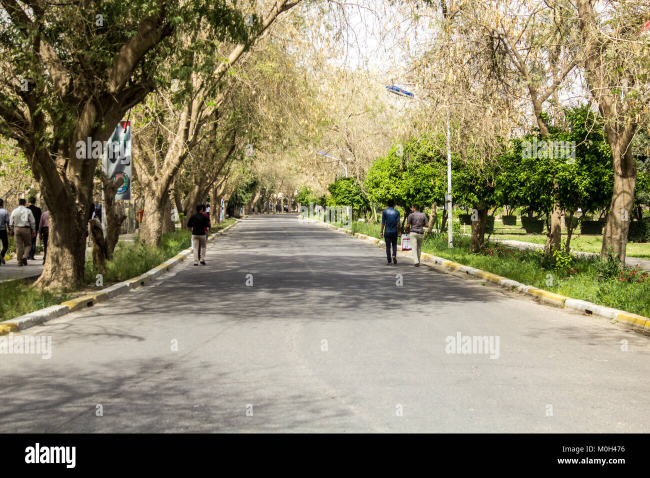 the oldest university in Baghdad the capital of Iraq. Which contains ...