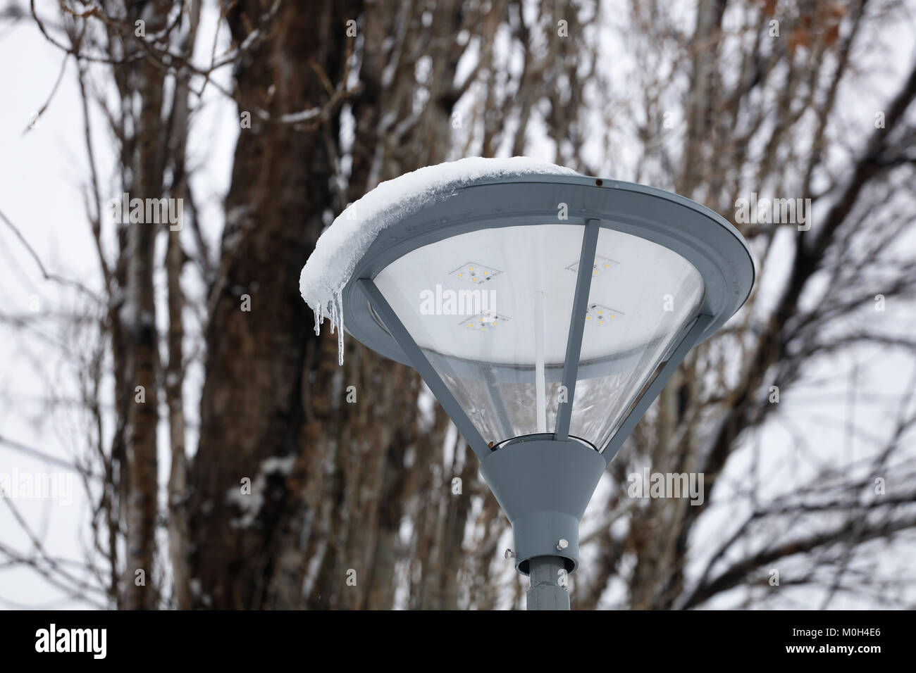 LED street light with grey pole and armature aigainst white winter sky ...