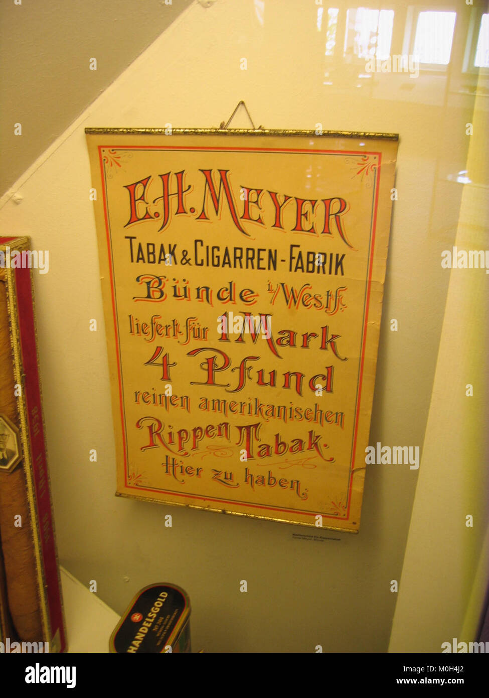 Systematic categorization hi-res stock photography and images - Alamy