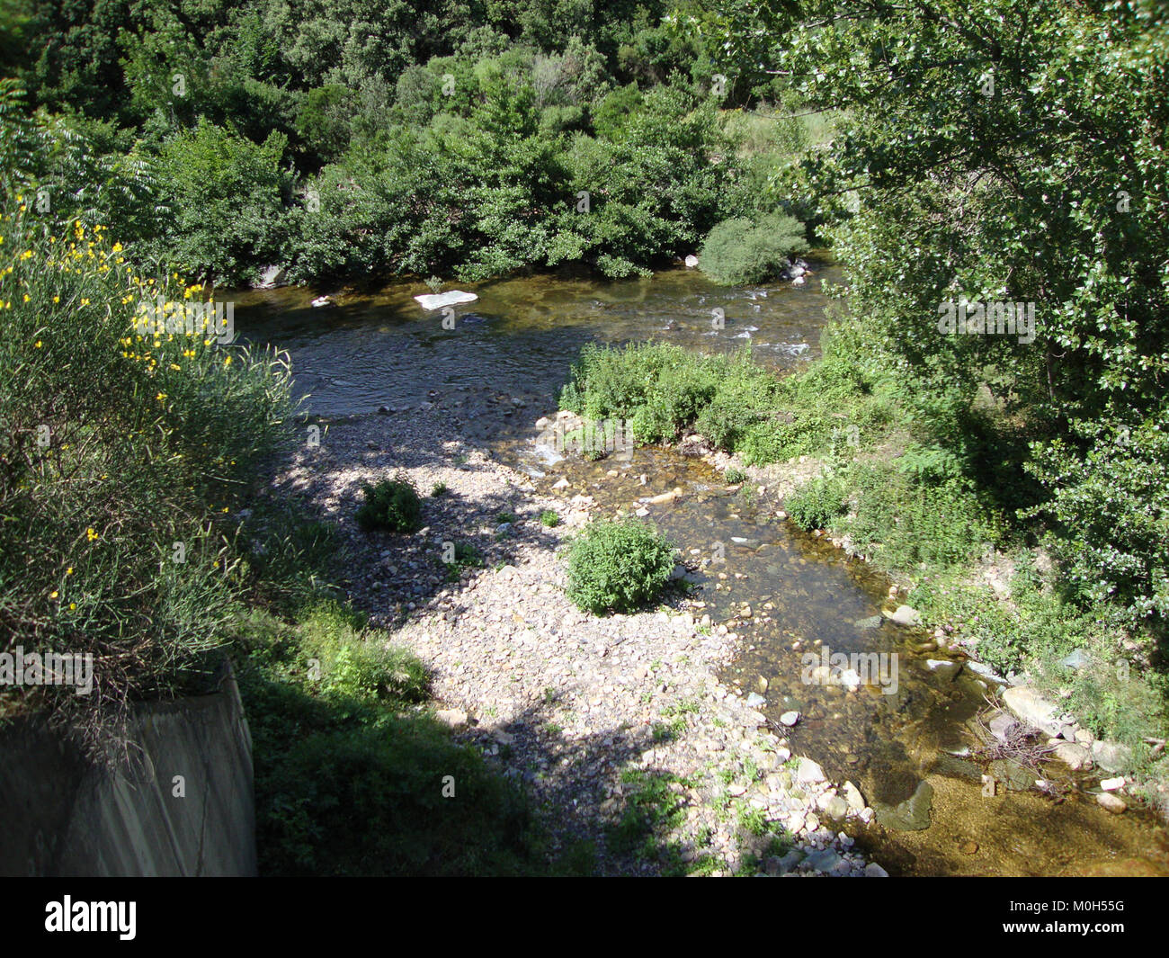 Image showing mare in hi-res stock photography and images - Alamy