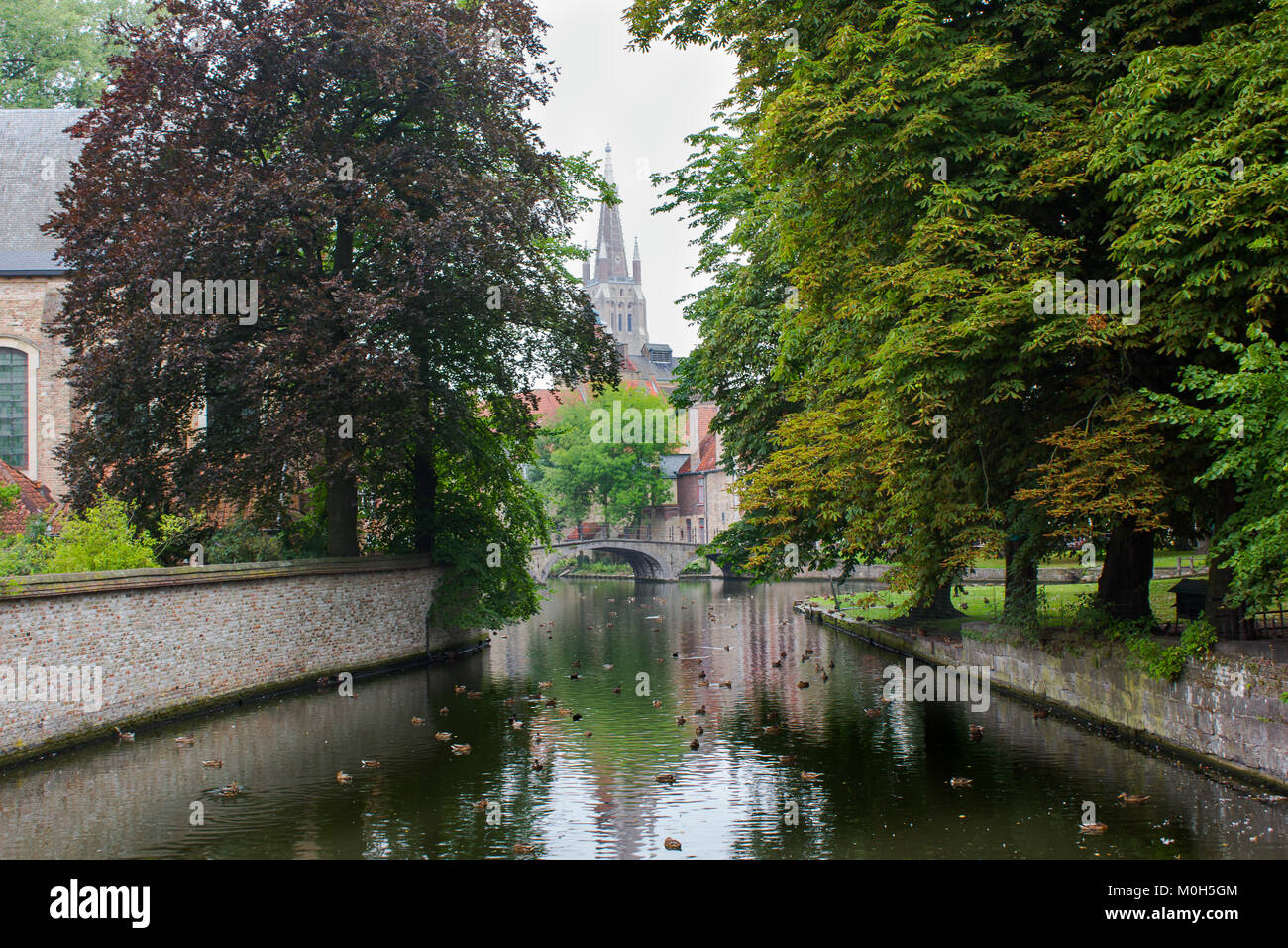 Gothic style building behind the canal in Bruges Stock Photo - Alamy