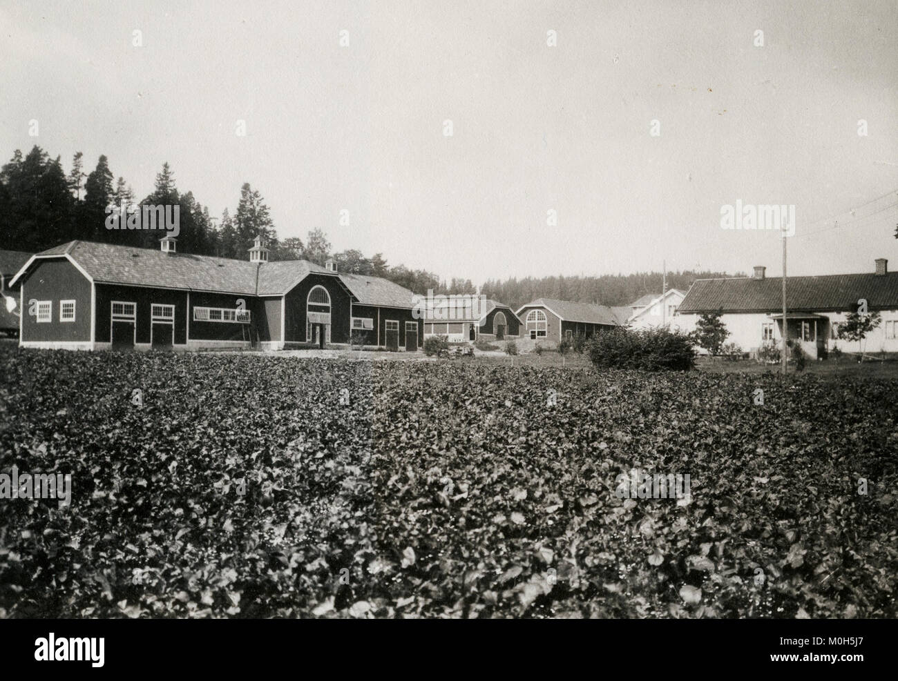 Building buildings 1910s hi-res stock photography and images - Alamy