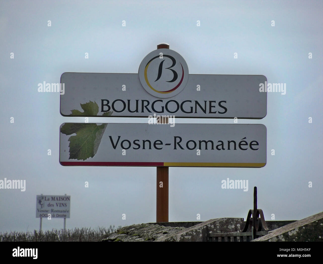 This image captures the scenic vineyards of Vosne-Romanée, located in ...