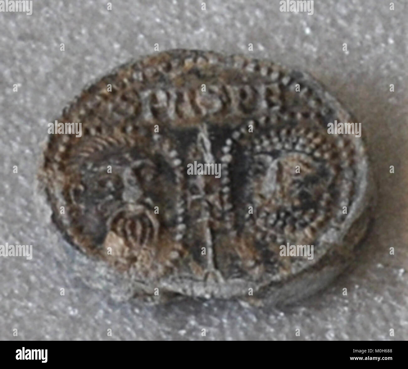 A historical bull issued by Pope John XXII, displayed at the BA Museum ...