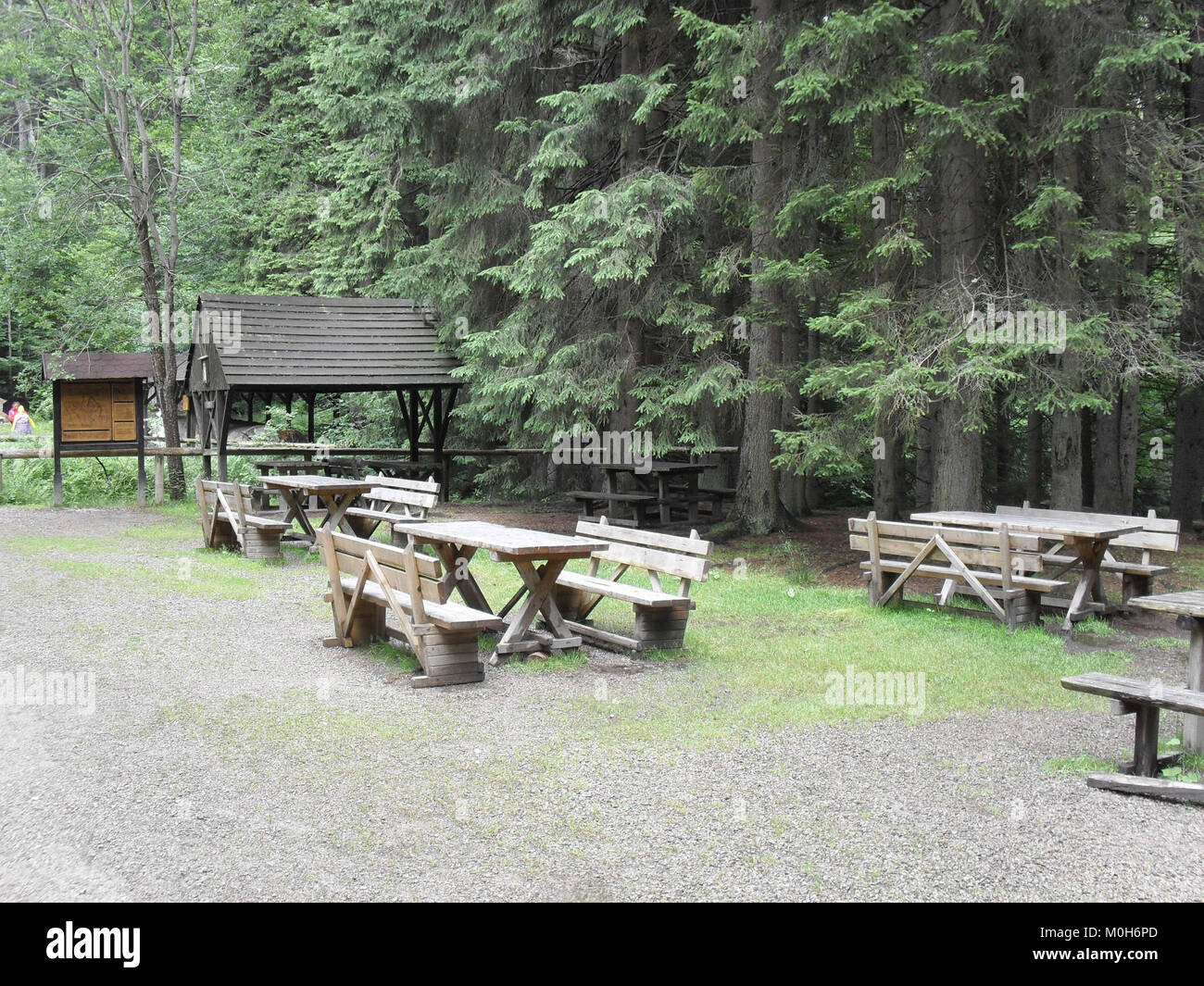 This image depicts the Boubín area in the Czech Republic, showcasing a ...