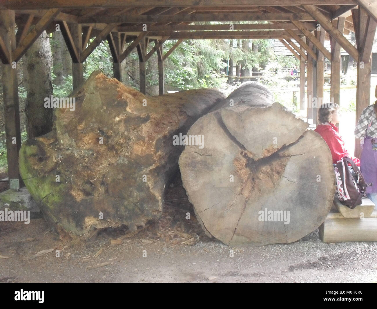 Internal structure hi-res stock photography and images - Alamy