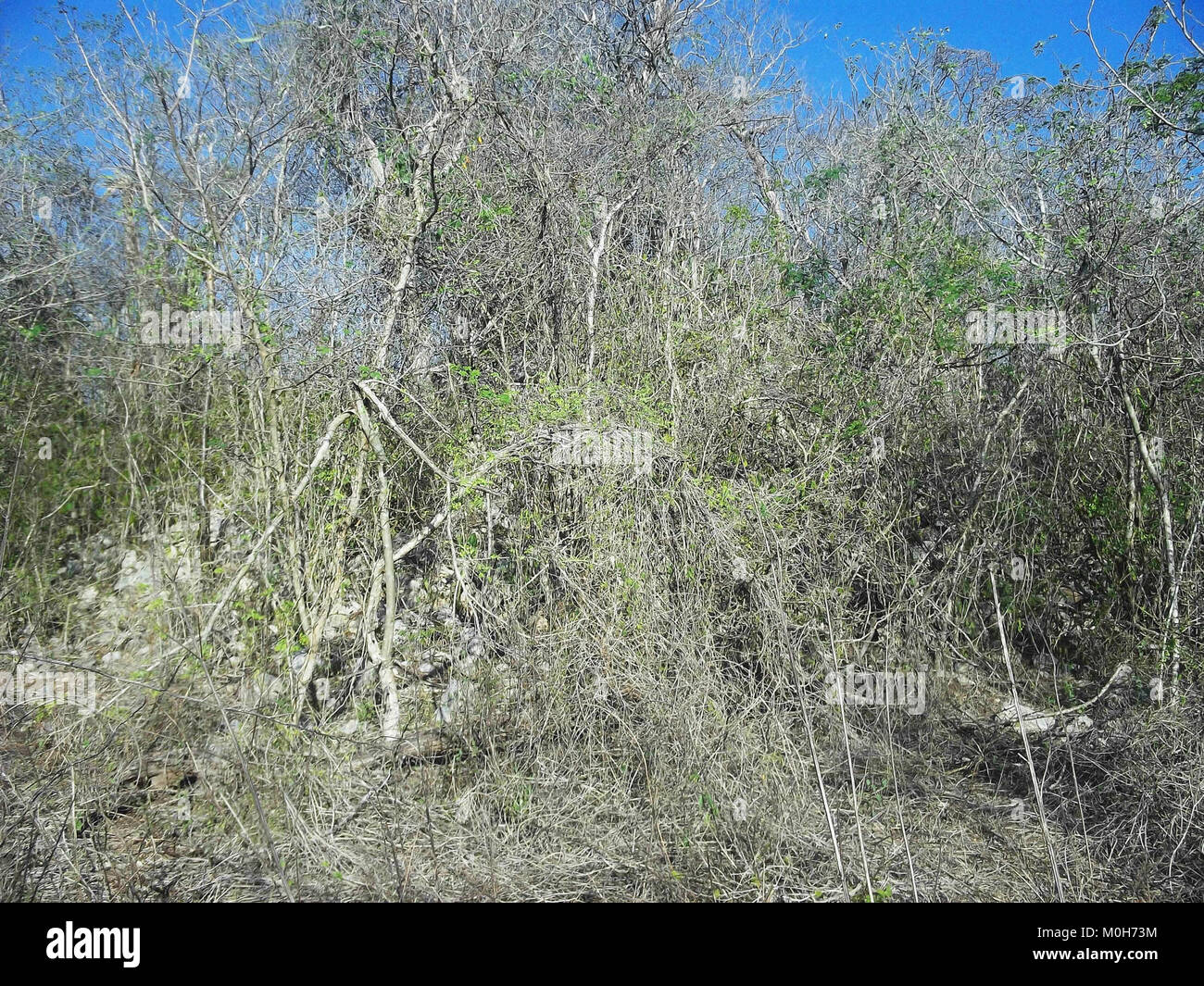 Calotmul (Yaxkukul), Yucatán (04 Stock Photo - Alamy