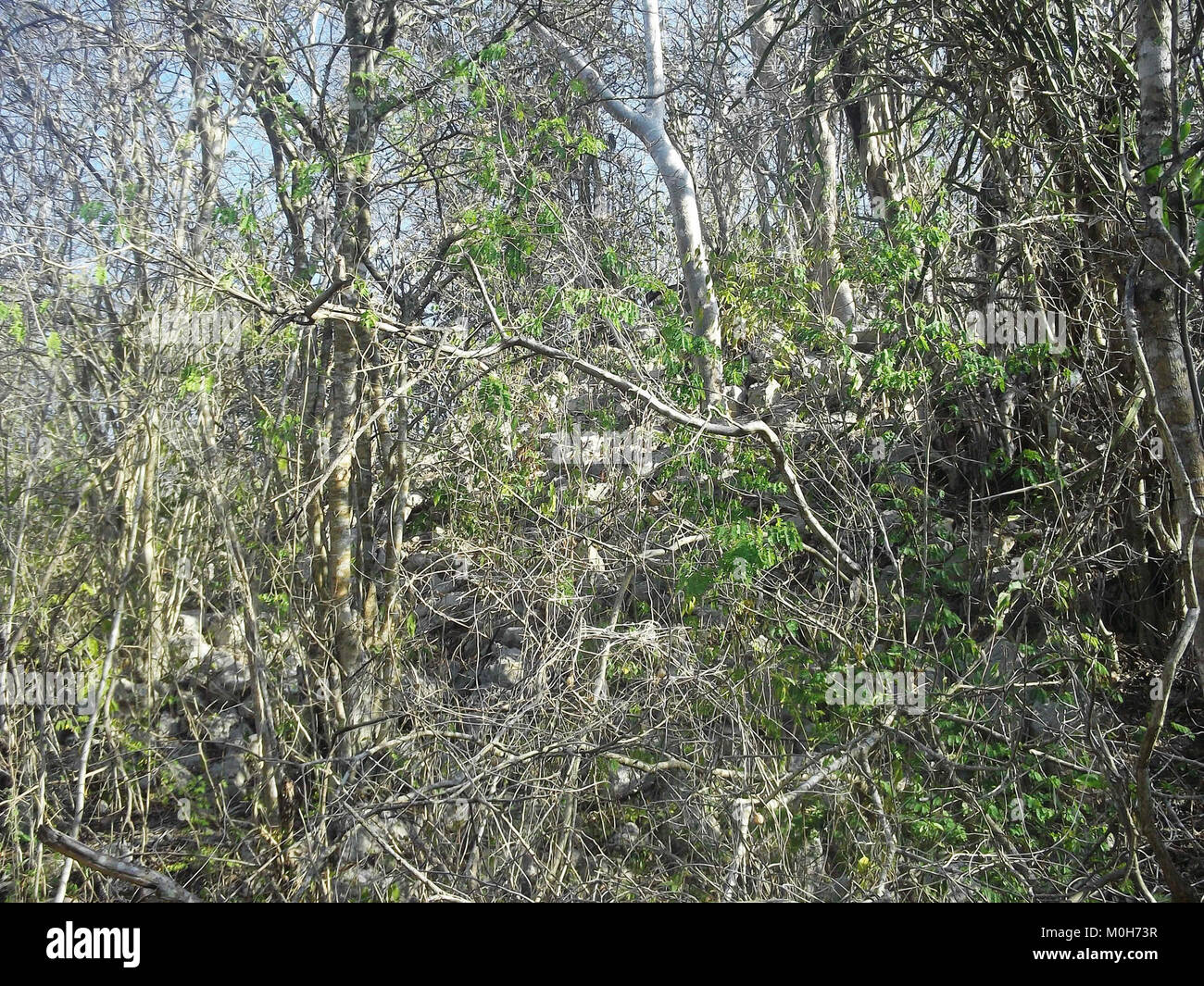 Calotmul (Yaxkukul), Yucatán (07 Stock Photo - Alamy