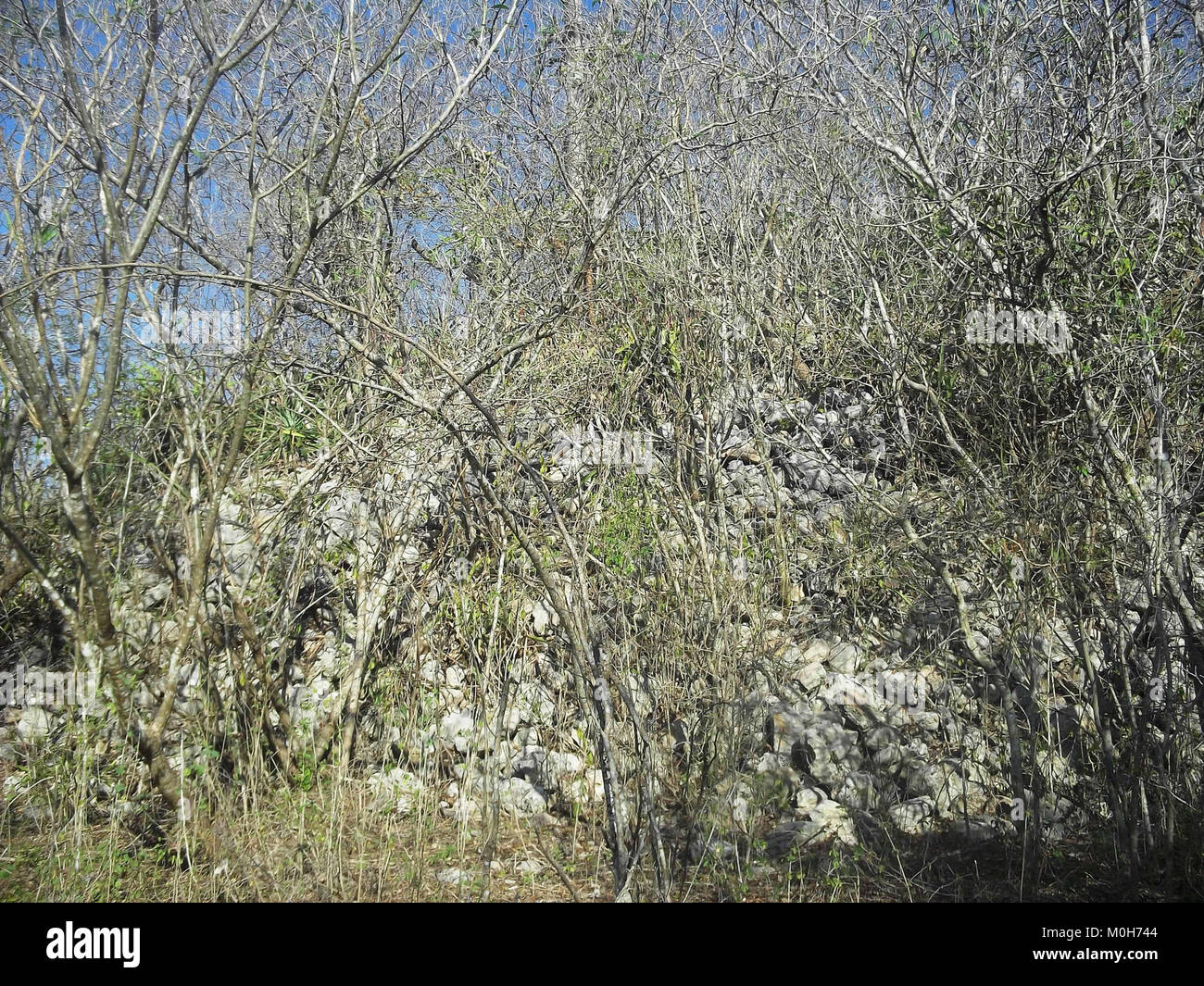 Calotmul (Yaxkukul), Yucatán (15 Stock Photo - Alamy