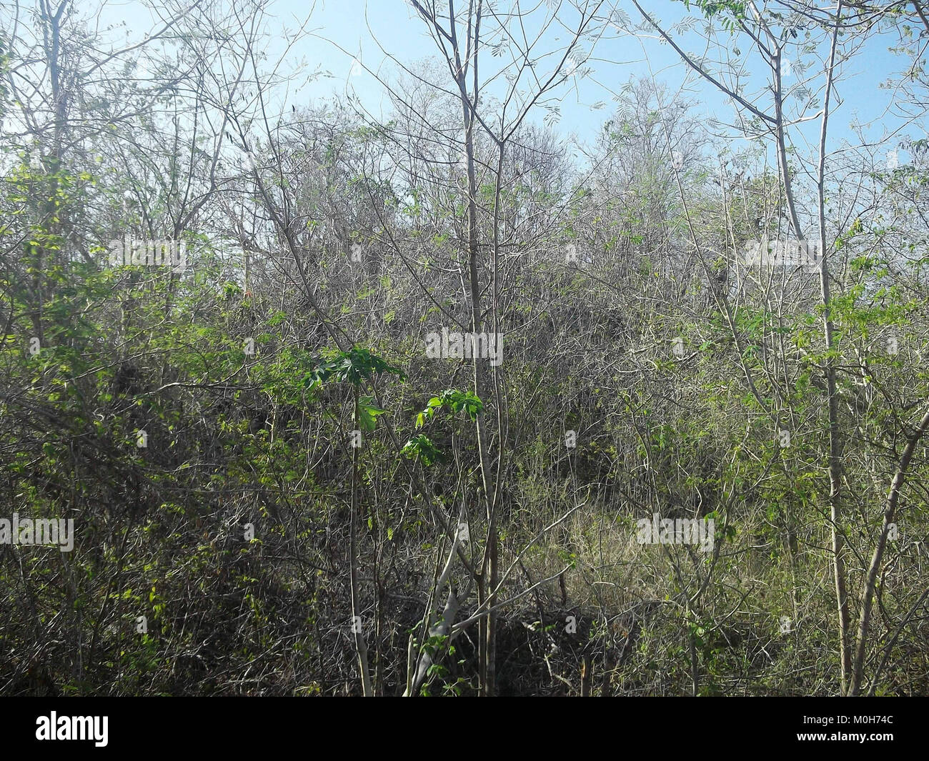 Calotmul (Yaxkukul), Yucatán (19 Stock Photo - Alamy
