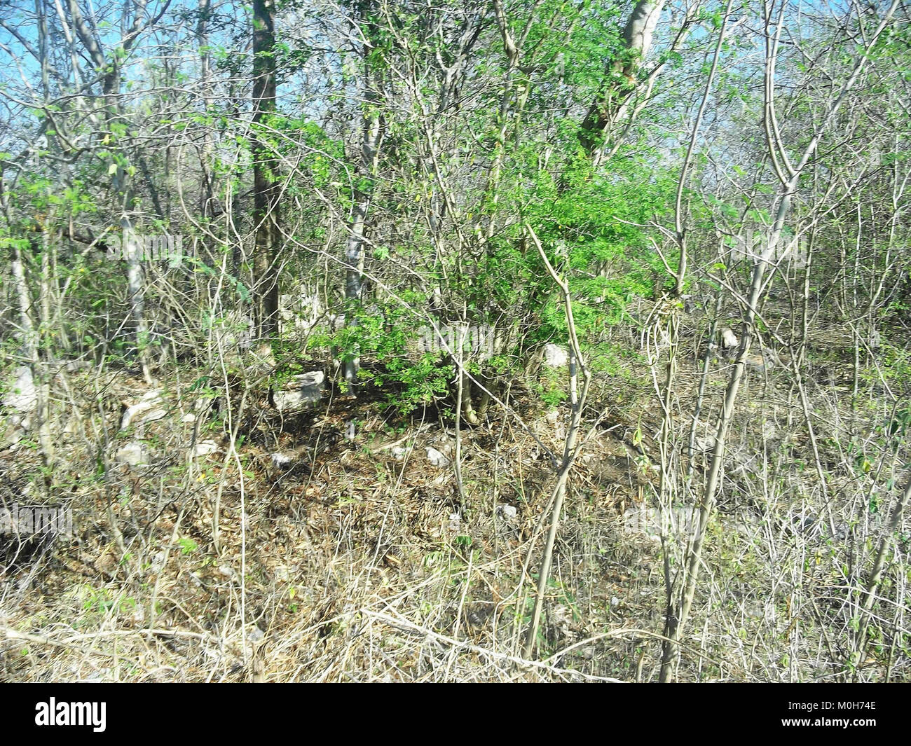 Calotmul (Yaxkukul), Yucatán (21 Stock Photo - Alamy