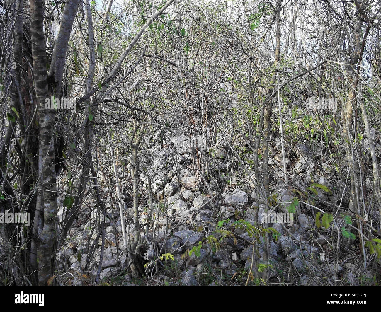 Calotmul (Yaxkukul), Yucatán (25 Stock Photo - Alamy