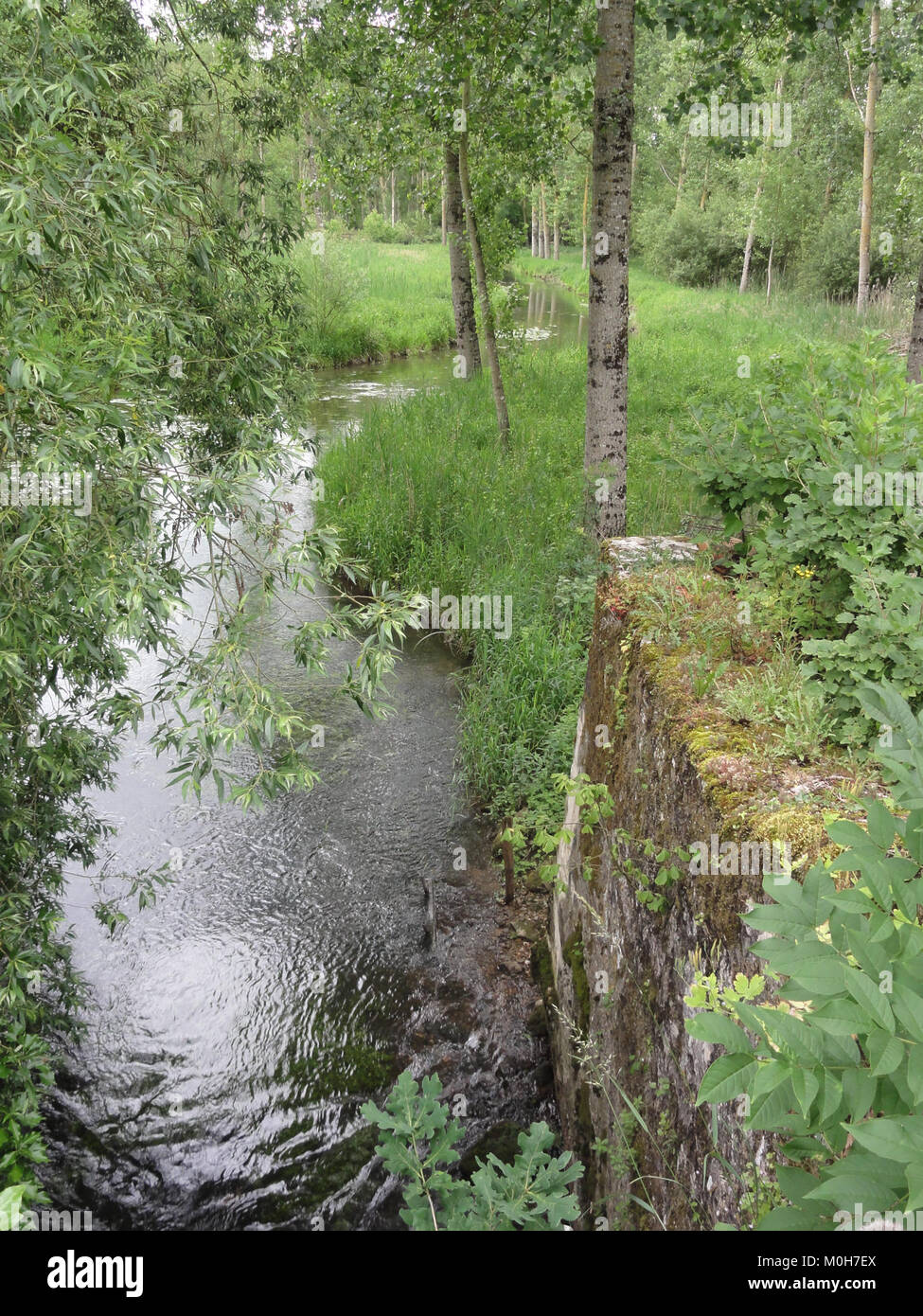 Boivre hi-res stock photography and images - Alamy