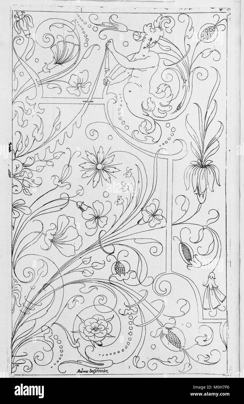 The title page of 'New Modelböch' (New Model Book) represents an early ...