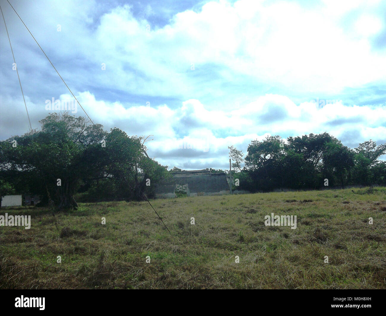 Abala High Resolution Stock Photography and Images - Alamy