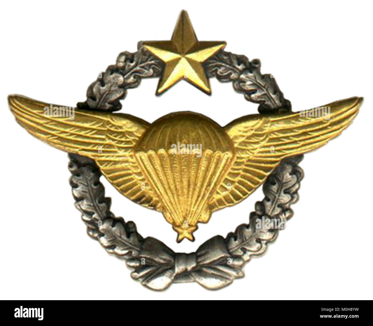 The experimental parachutist brevet was awarded to military personnel ...