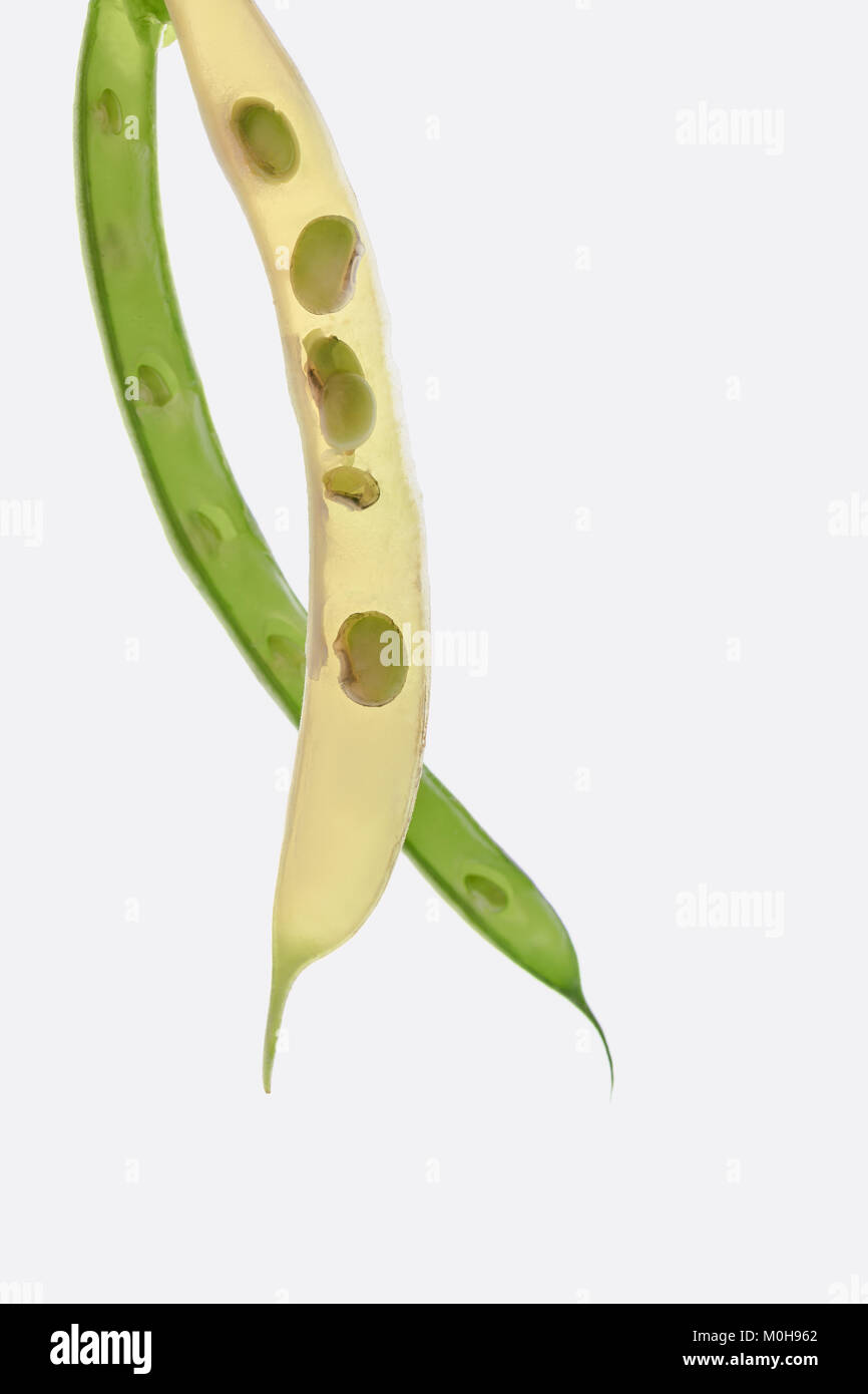 beautiful composition with pea pods Stock Photo - Alamy