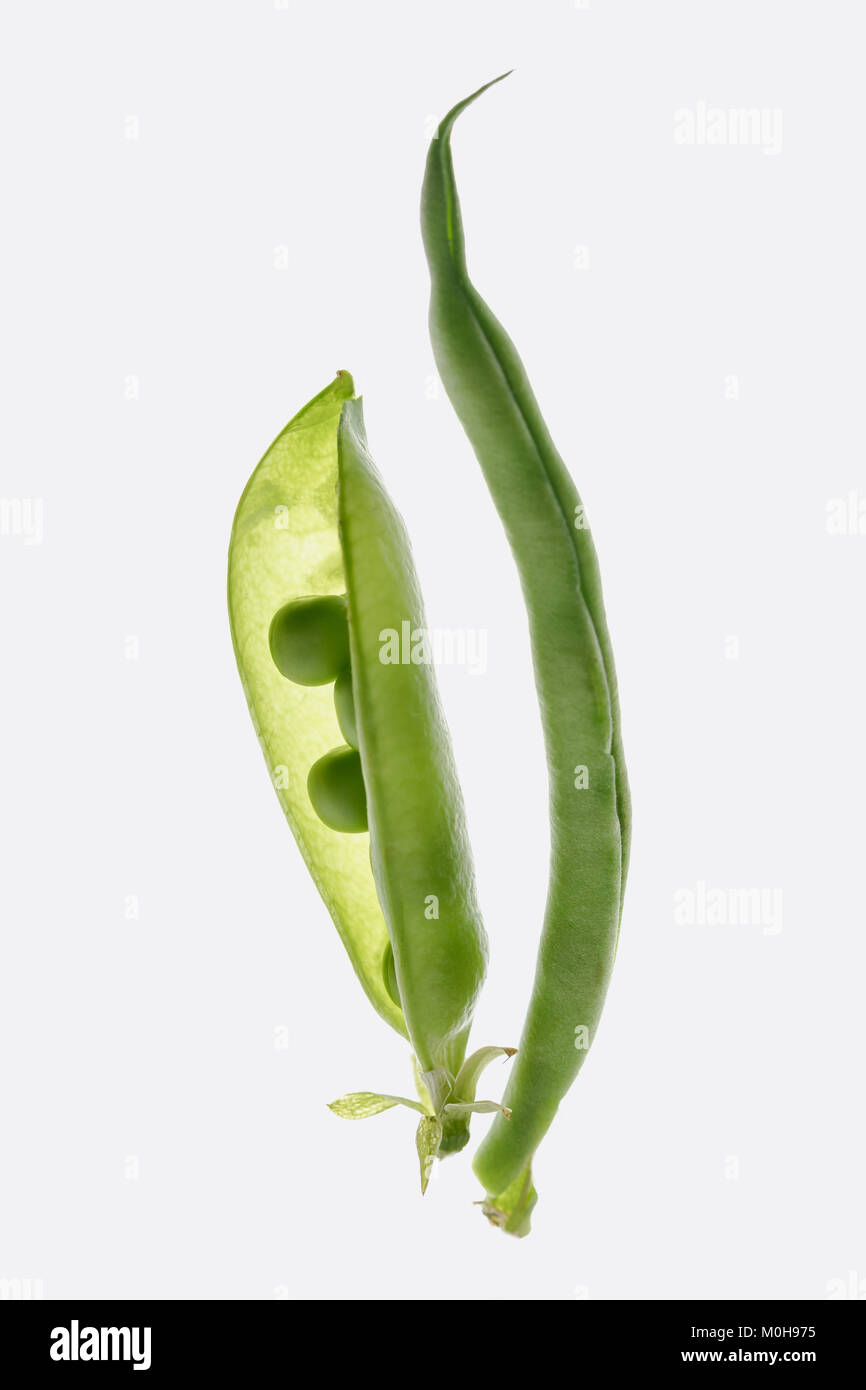 healthy beautiful pea pods Stock Photo - Alamy