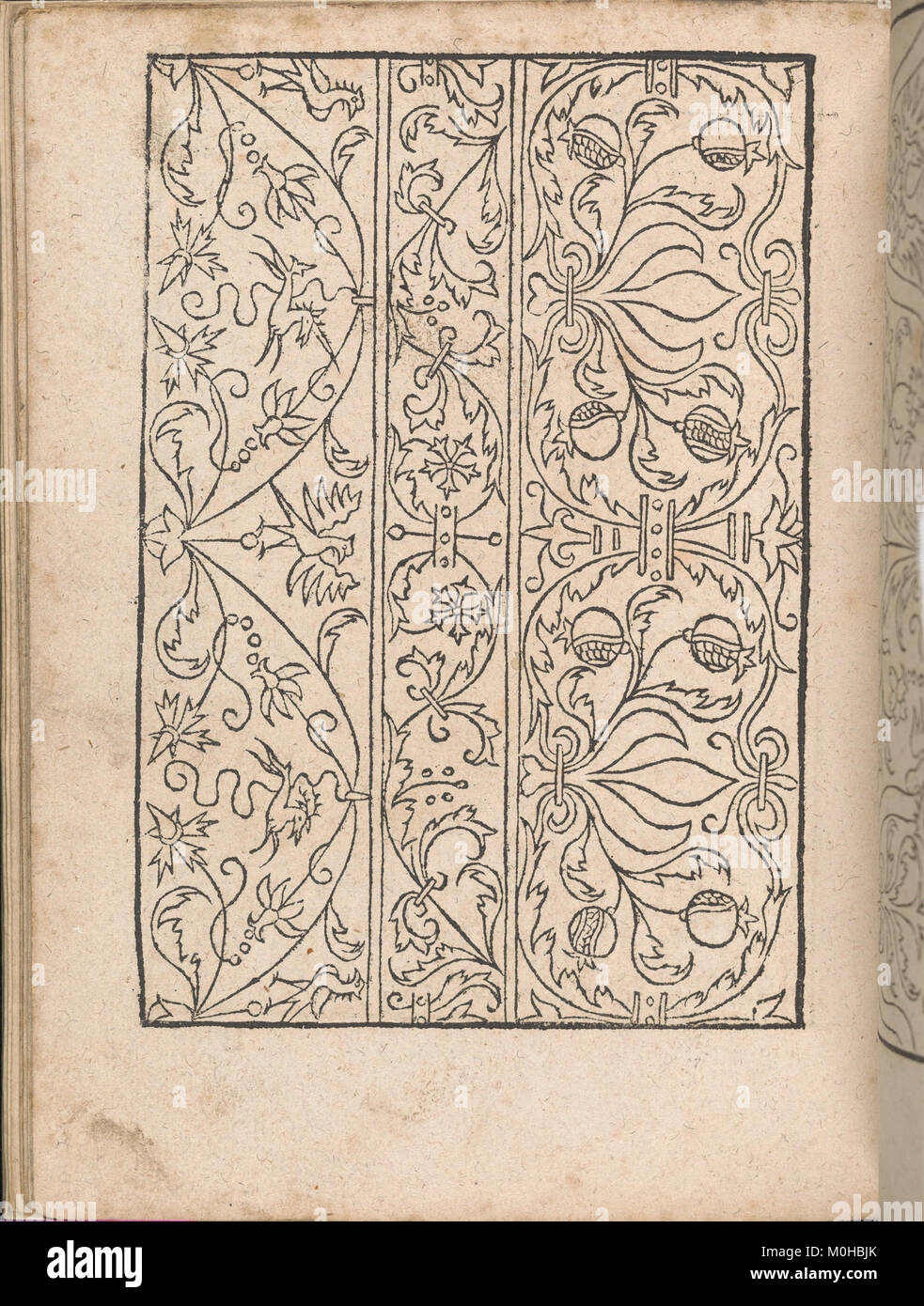 The 'New Modelbüch allen Nägerin u. Sydenstickern' on page 17v is a ...