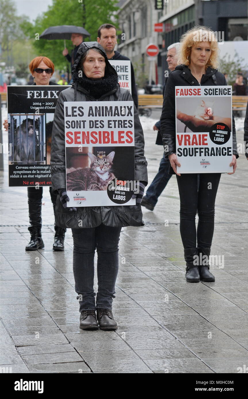World animal Day: Animals rights defenders protest in Lyon, France ...