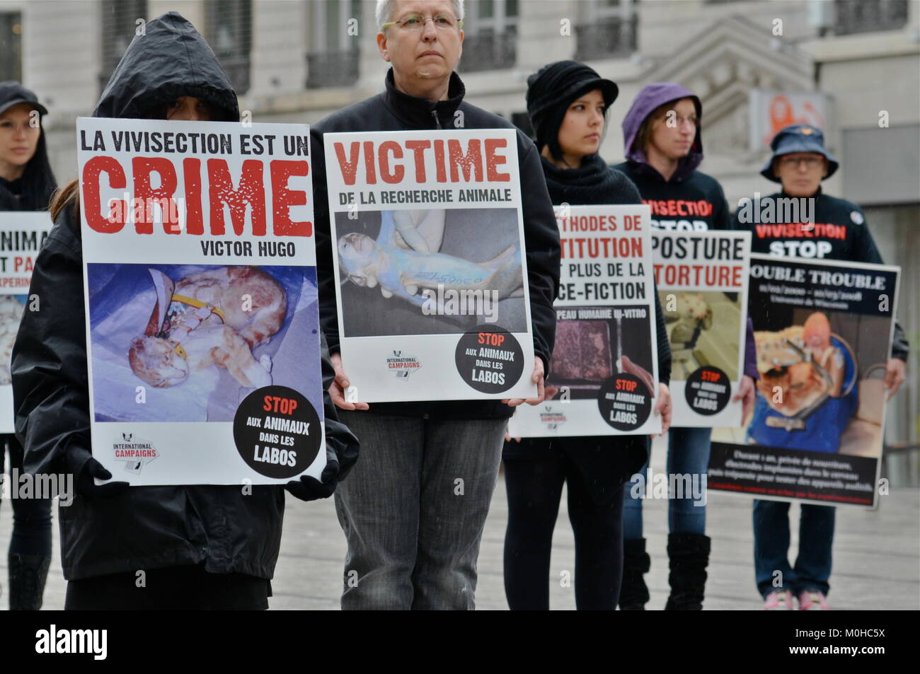 World animal Day: Animals rights defenders protest in Lyon, France ...