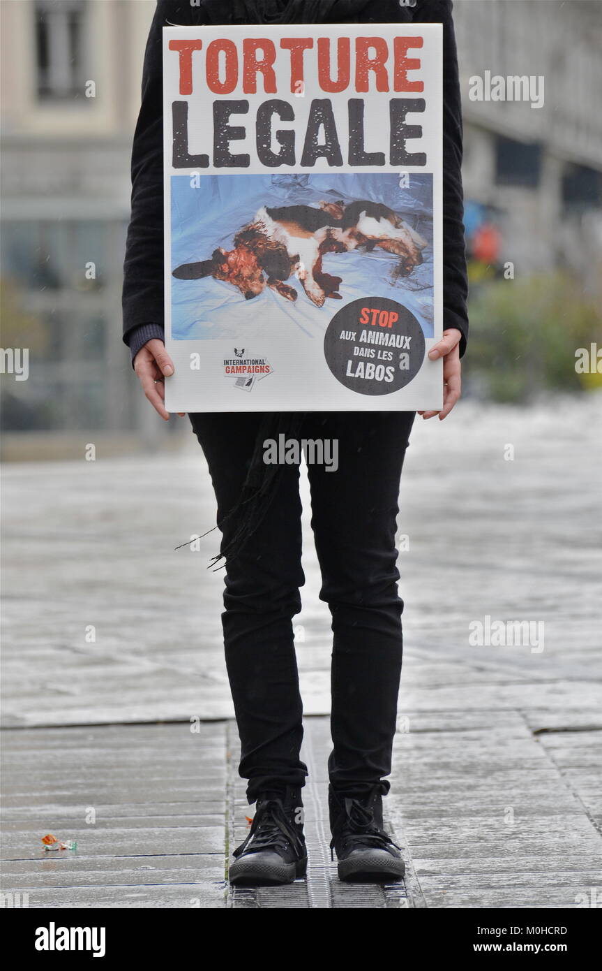 World animal Day: Animals rights defenders protest in Lyon, France ...