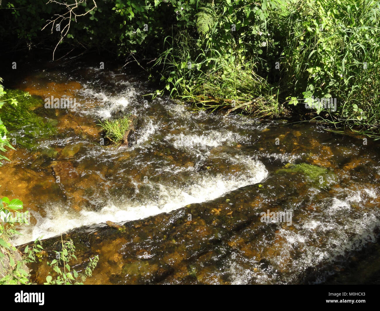 Breme hi-res stock photography and images - Alamy
