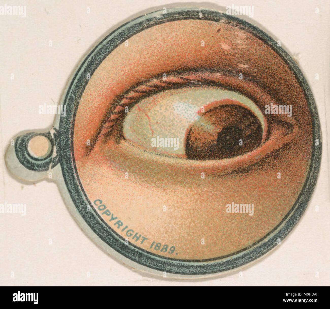 Jocular ocular hi-res stock photography and images - Alamy