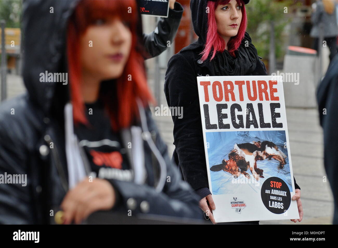 World animal Day: Animals rights defenders protest in Lyon, France ...