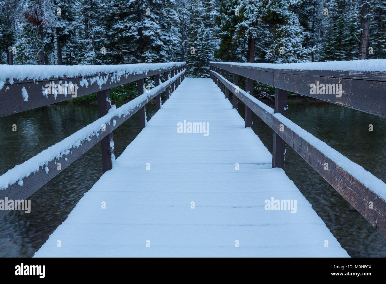 Early winter with first snow covering rocks and woods in the Glacier ...