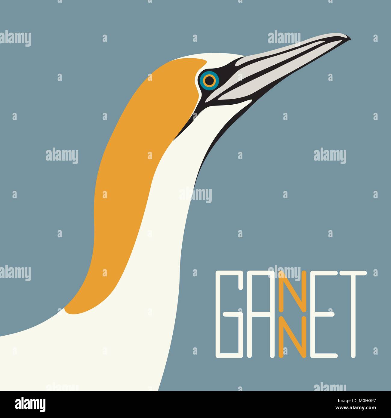 Northern gannet Stock Vector Images - Alamy