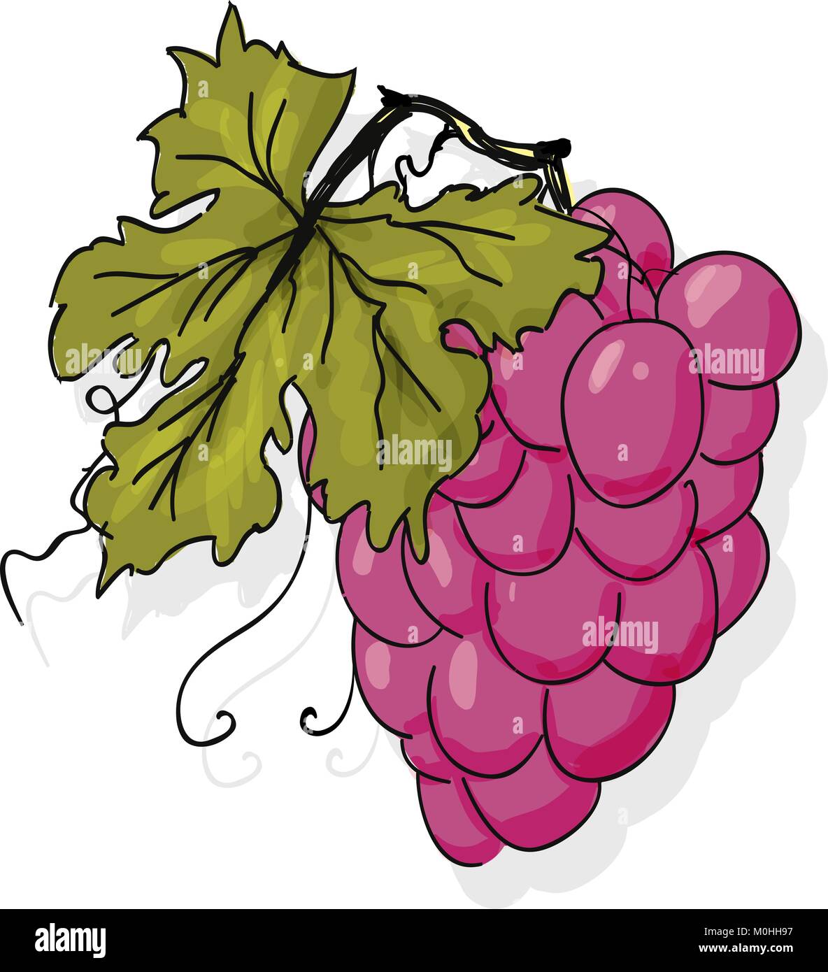 cluster of grapes vector illustration Stock Vector Image & Art - Alamy cluster of grapes vector illustration Stock Vector Image & Art - Alamy