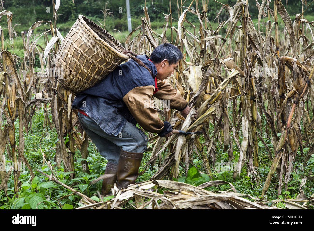 Rural Chinese Portraits Featuring: Atmosphere Where: Xiushan, China ...