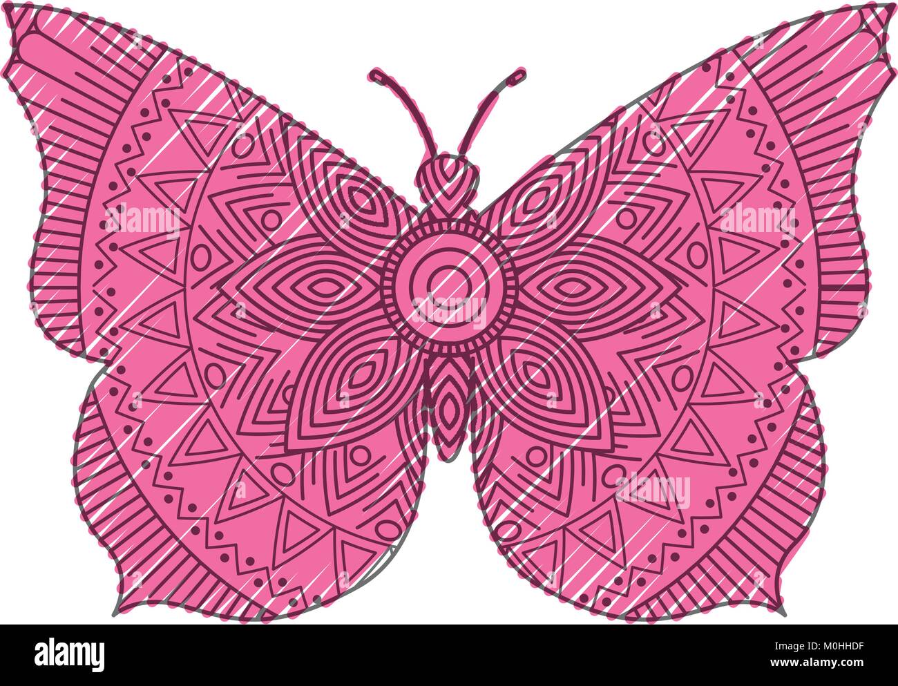 Zentangle Color Butterfly