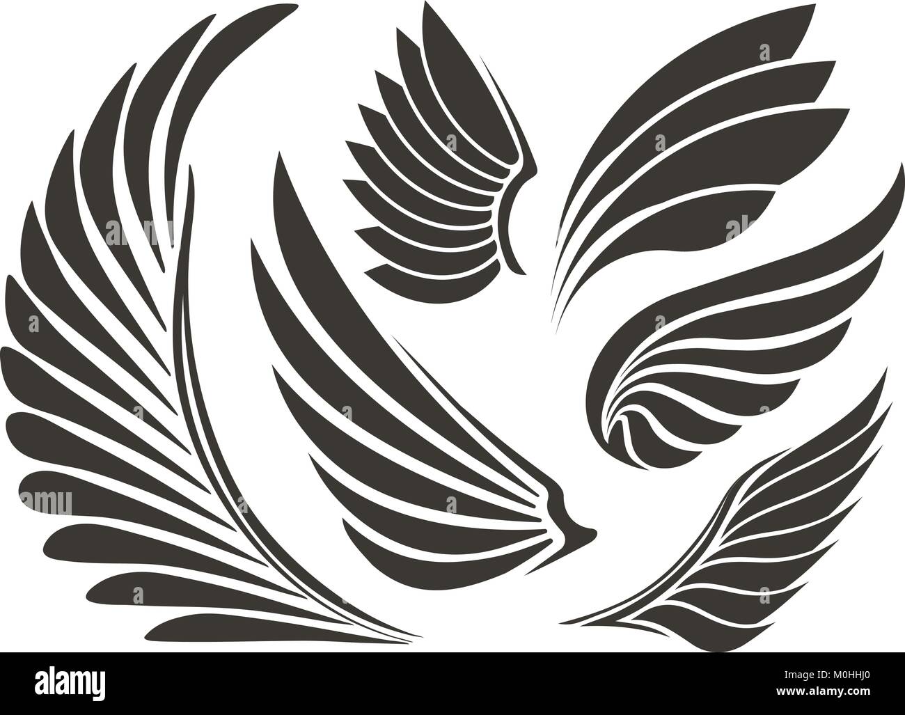 Set of five wings Stock Vector Image & Art - Alamy