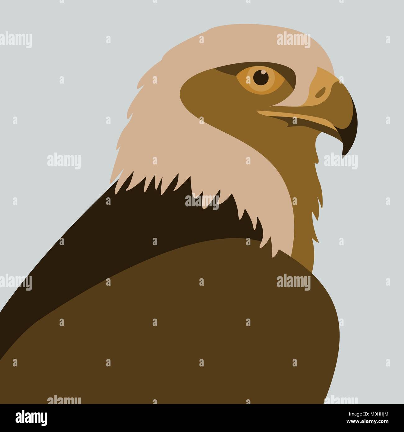 Eagle Head Vector Stock Vector Images - Alamy